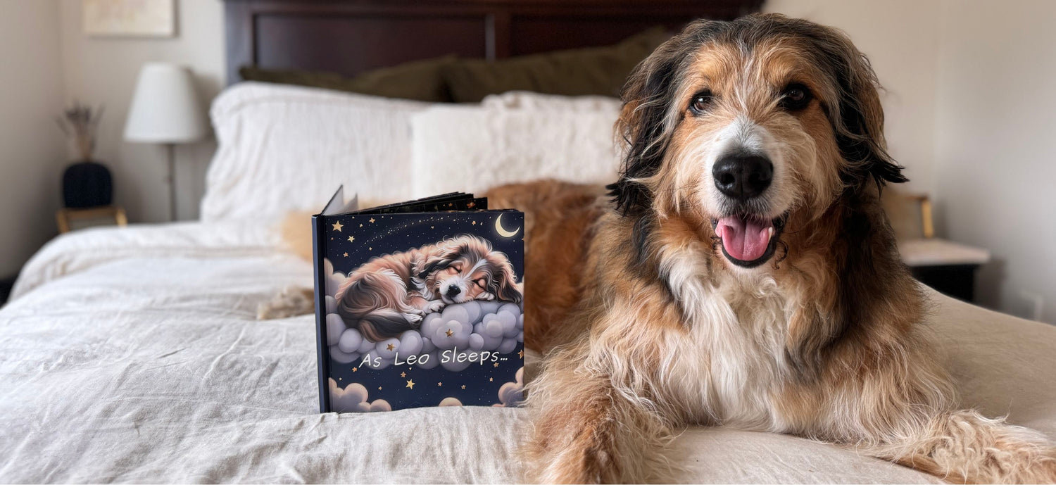 Personalized Dog Book – mydogRoo